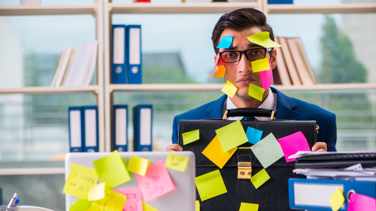 Poly Languages - English Language School - ESL School